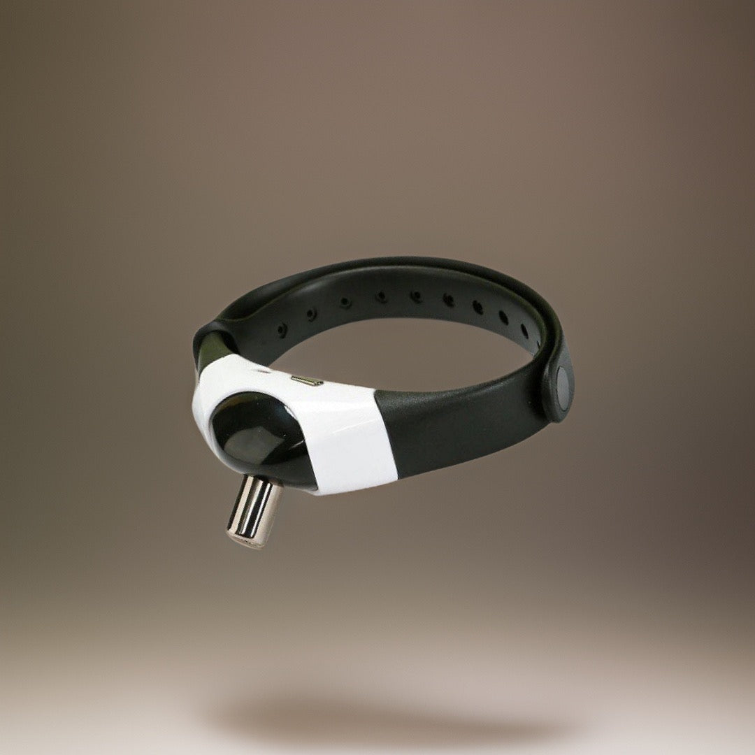 NemiPets™ Interactive Laser Collar