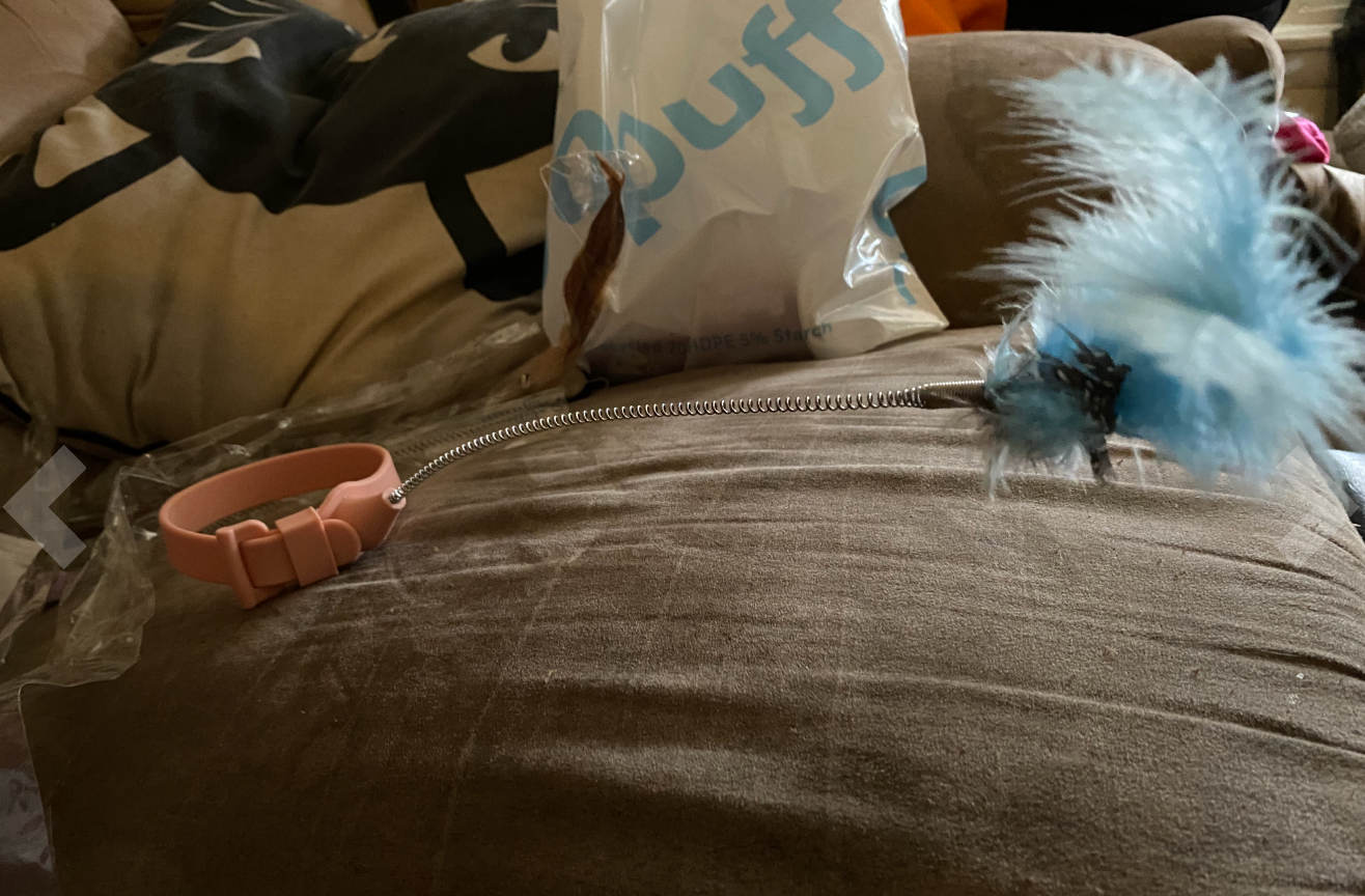 NemiPets™ Interactive Laser Collar – NemiPets™.